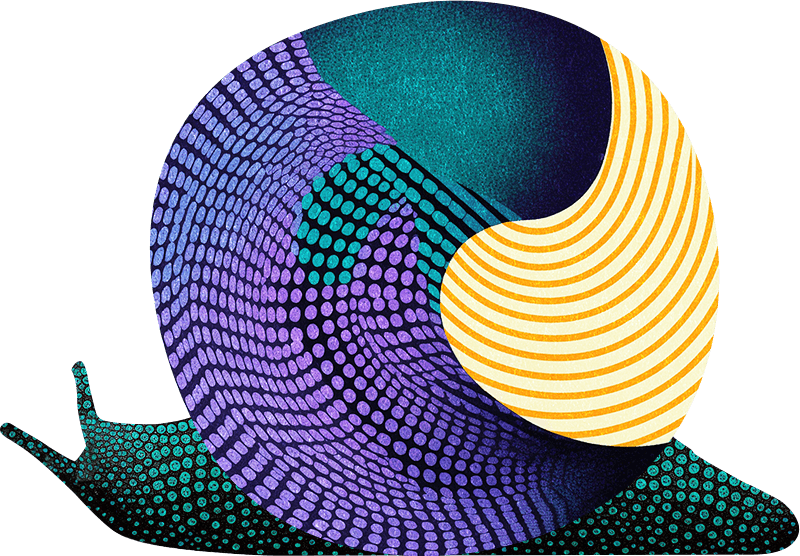 Te Ngata – Words, language, and learnings in te reo Māori